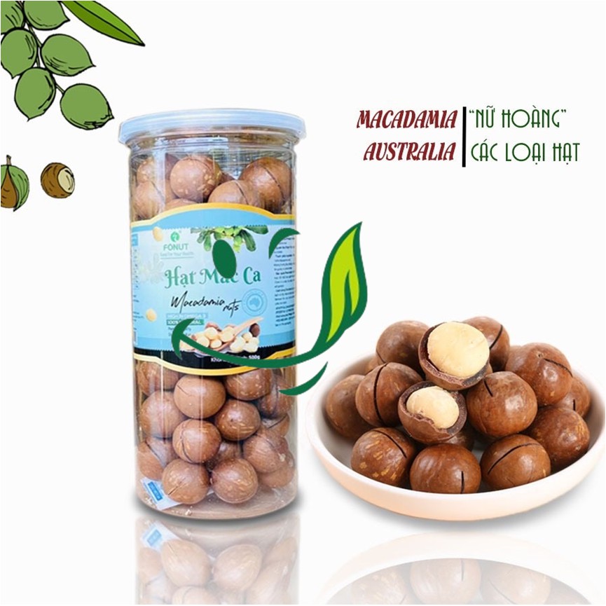 Macadamia Nuts Cracked Large Kernel Without Smell Of Oil From Australia ...