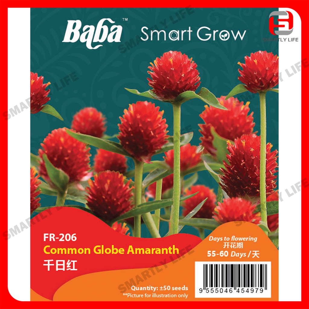 Baba Smart Grow Seed : Flower Seed Series 花 种子 Benih Bunga Non GMO ...