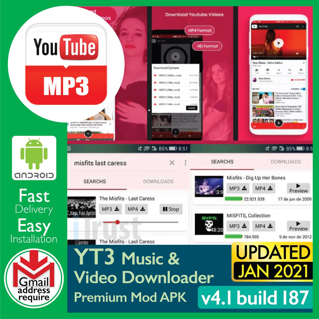 YT3 Music & Video Downloader v4.1 build 187 Premium [SmartPhone ...
