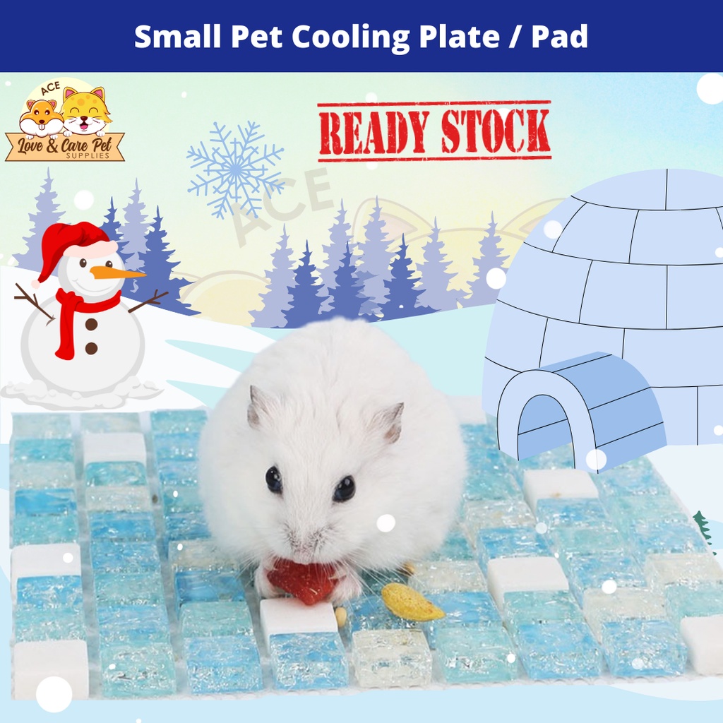 Ice Cube Cooling Pad / Mat for Hamster & Small Pet | Tikar Penyejuk ...