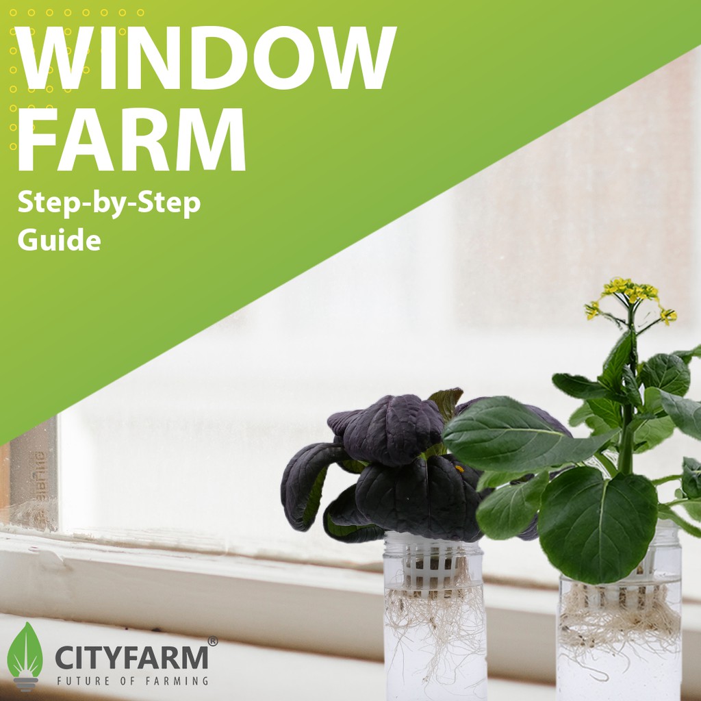 City Window Farm (All Inclusive Hydroponics Beginner Starter Kit ...