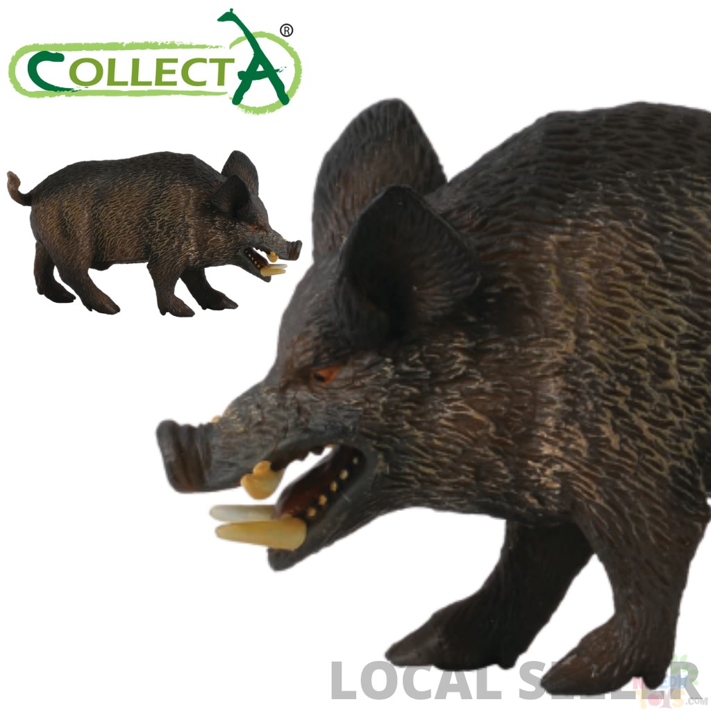 Wild Boar - Collecta 88363 Wild Life Animal Action Figures / Toys ...