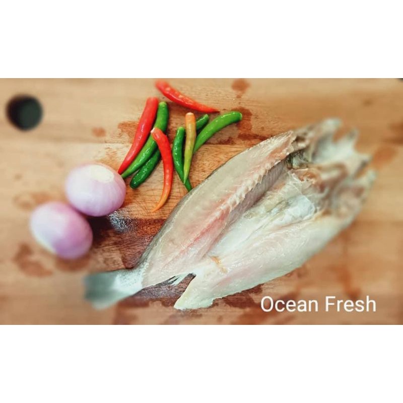 Ikan Gelama Bekok (500gram) | Shopee Malaysia