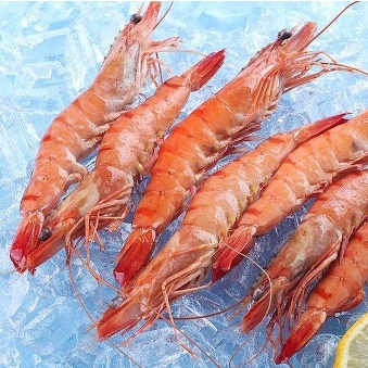 26/30 Premium Cooked Tiger Prawn Large 1Kg± Frozen Fresh Udang Harimau ...