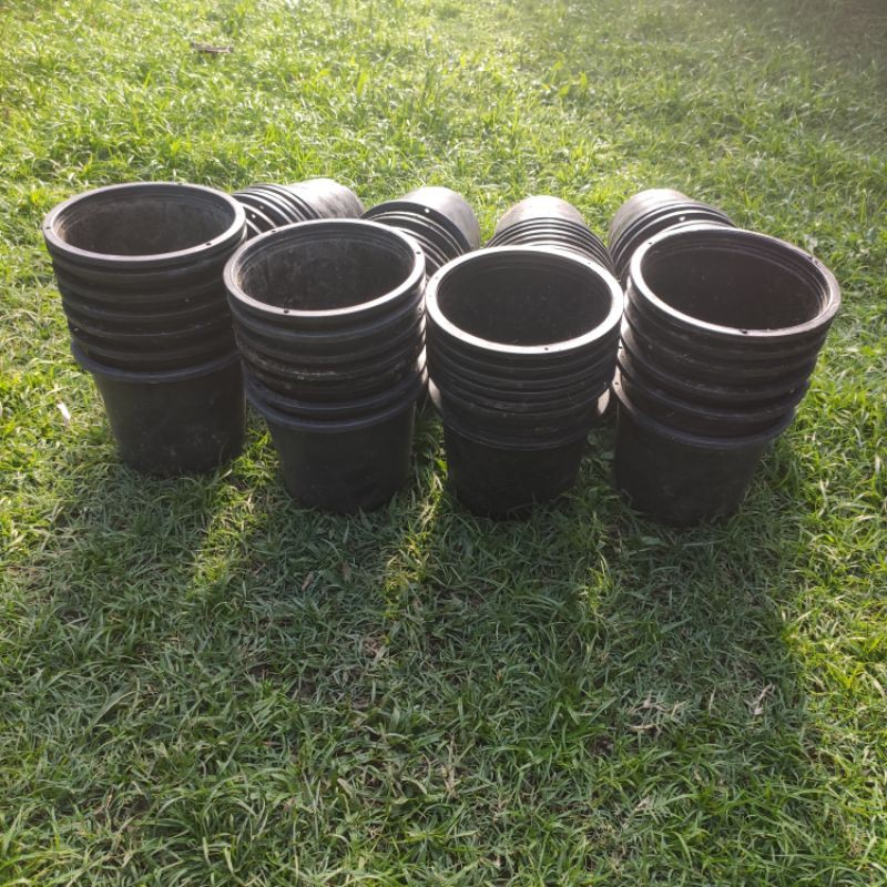 PASU 6 INCI (10pcs) TERPAKAI PASU MURAH | Shopee Malaysia