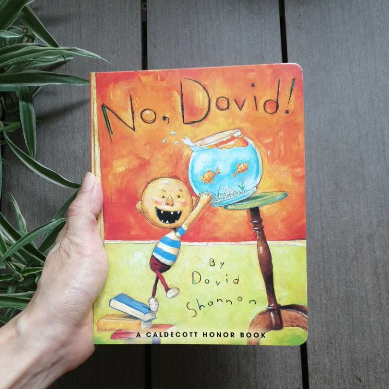*Ready Stock* No David (Caldecott Honor Book) and variation (oh, David ...