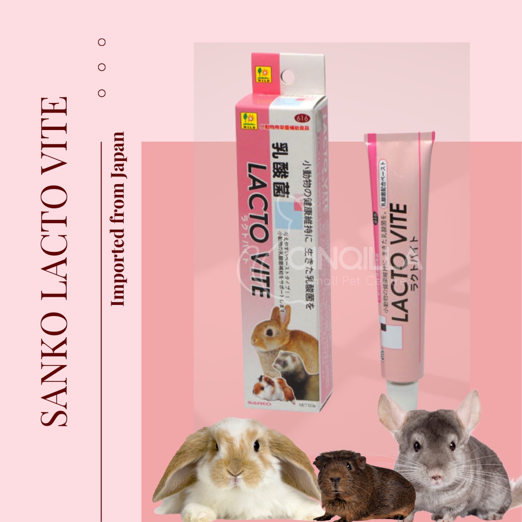 Japan Sanko Wild Lacto Vite 🇯🇵 Originally Imported from 🇯🇵 日本进口Sanko ...