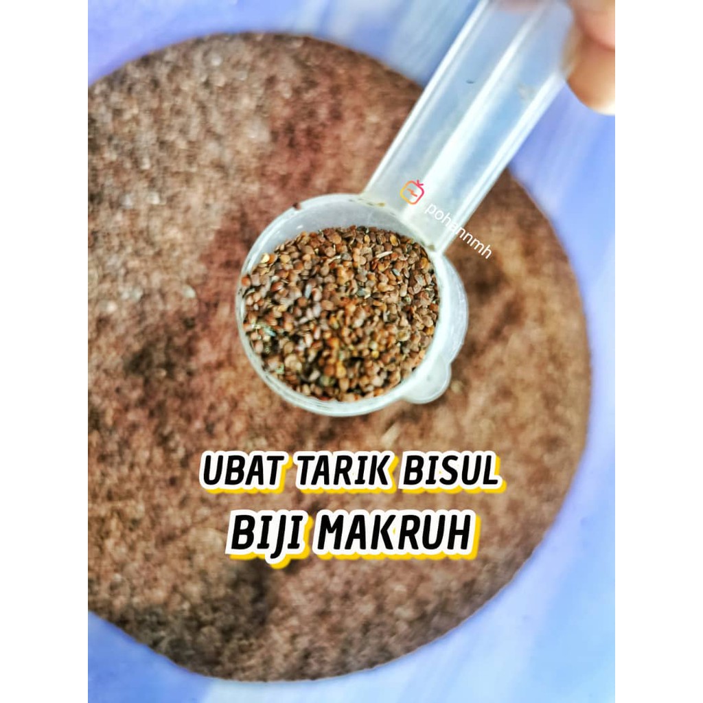 BIJI MAKRUH / BIJI MAHRUF UNTUK SAKIT BISUL / 天仙子 38gm | Shopee Malaysia
