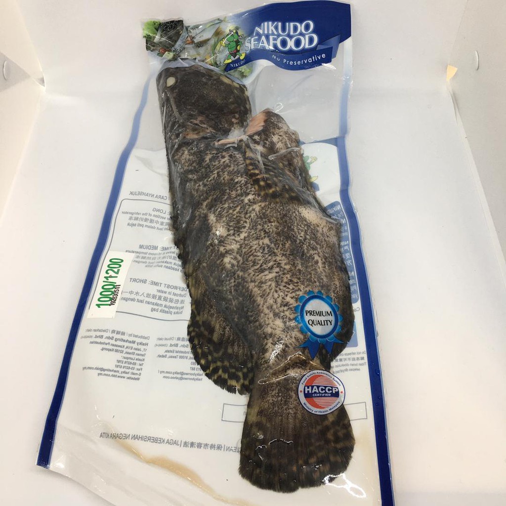 Nikudo GROUPER HYBRID (GIANT GROUPER MIX TIGER GROUPER) WHOLE CLEAN 龙虎斑 ...
