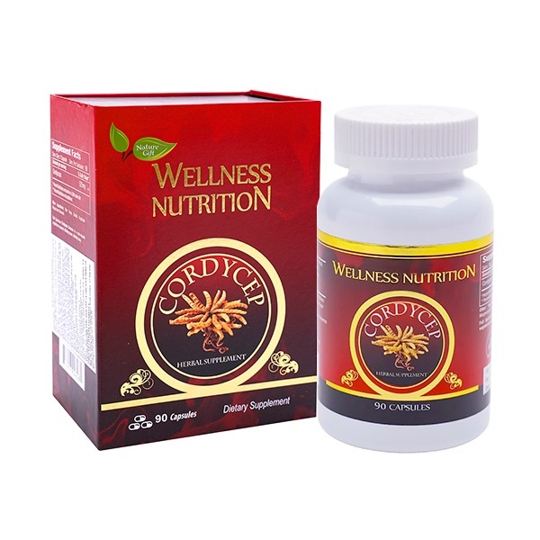 [Hoo Toc Q10] Wellness Nutrition cordyceps tablets (Box of 90 tablets ...