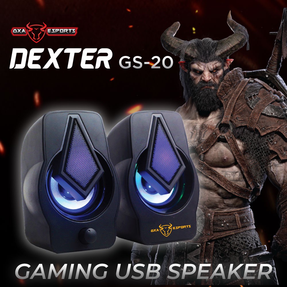 OXAYOI OXA ESPORTS DEXTER GS-20 Gaming Speaker with RGB LED Light ...