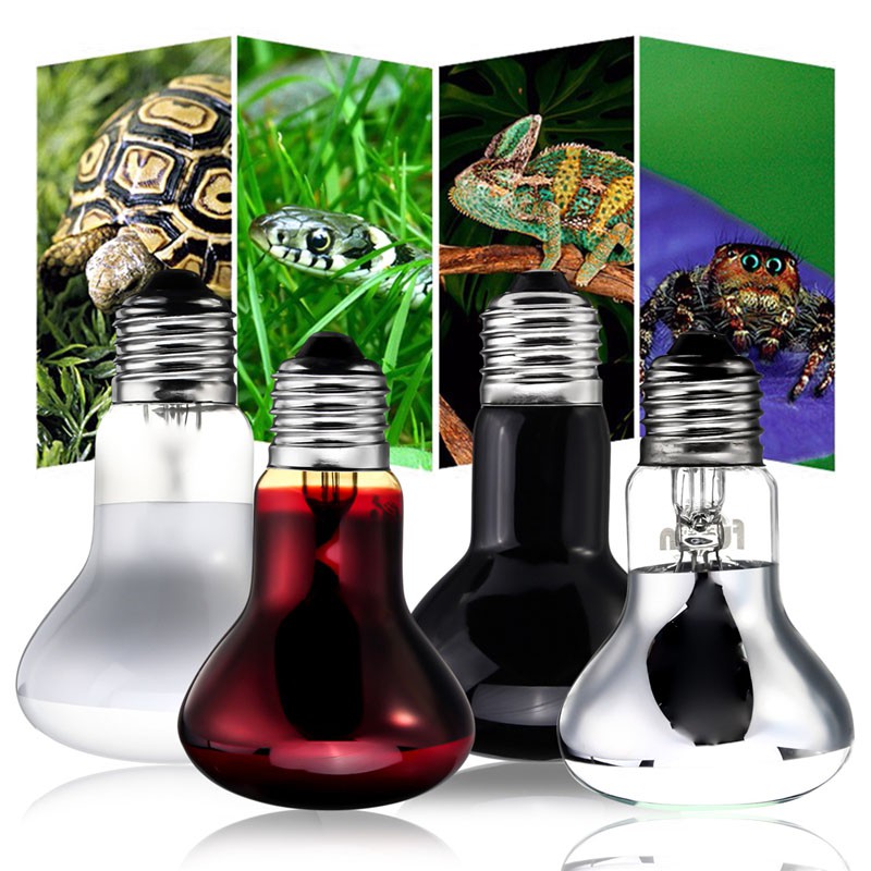 25/50/75/100W UVA Day Night Lamp Amphibian Bird Snake Light Heat ...