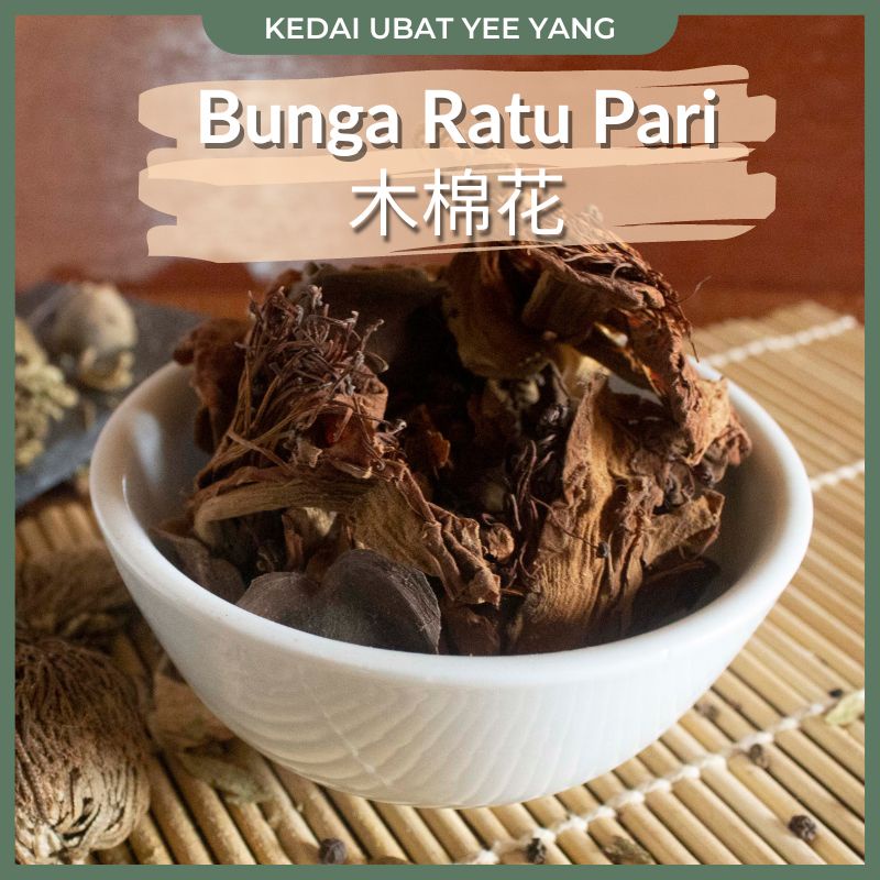 [50G/80G] Premium Grade Bunga Mukmin/ Bunga Ratu Pari 木棉花 [50G/80G ...