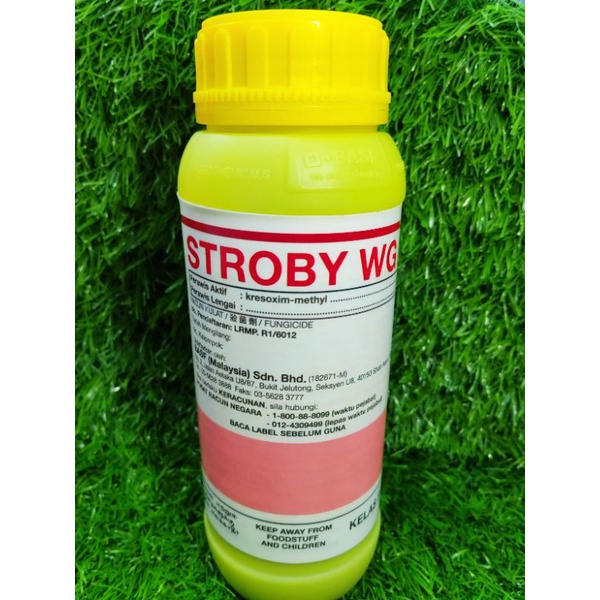 Stroby WG 500g Basf | A.I: kresoxim-methyl 50% | Shopee Malaysia
