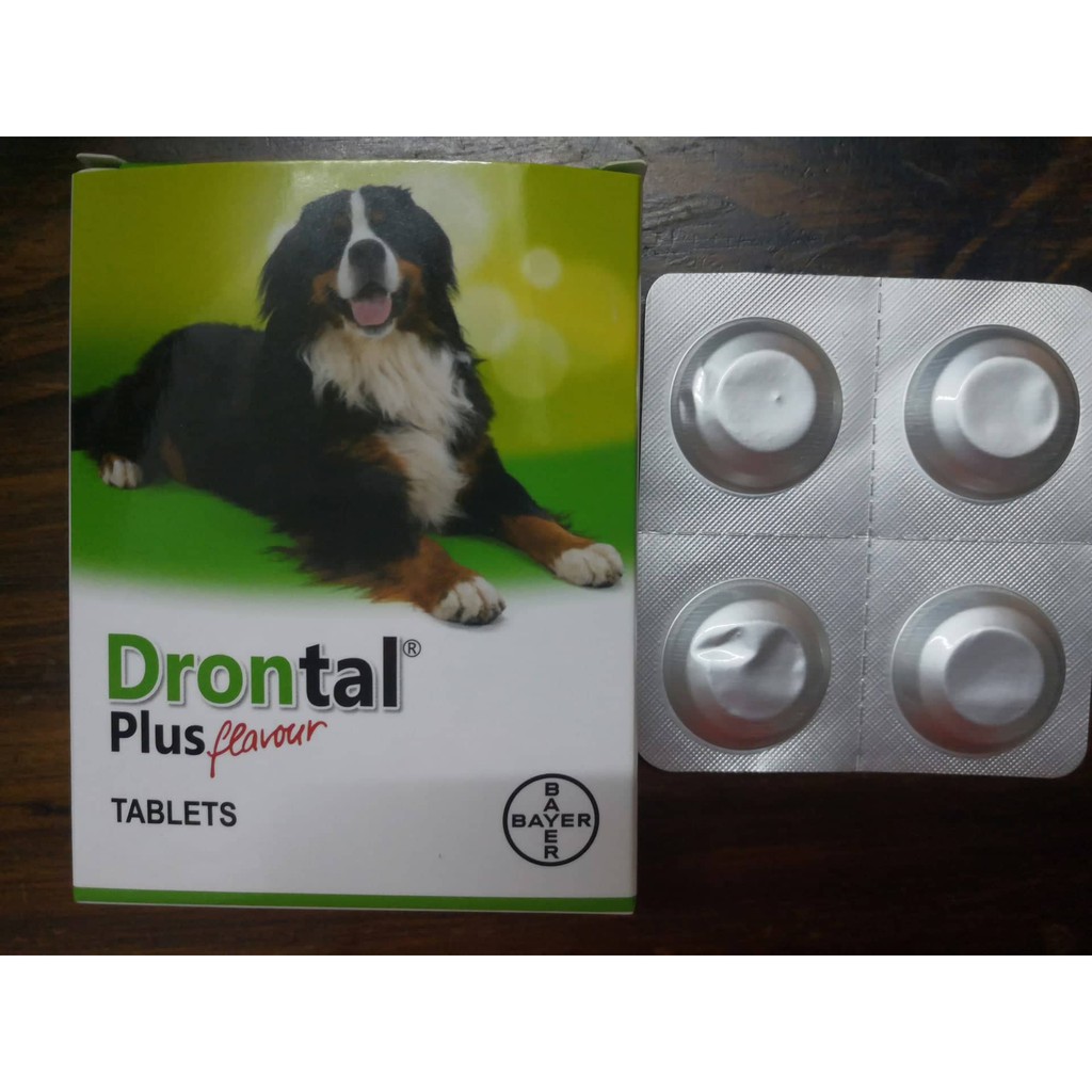 Bayer Dog Drontal Plus ( 1 tablet ) | Shopee Malaysia
