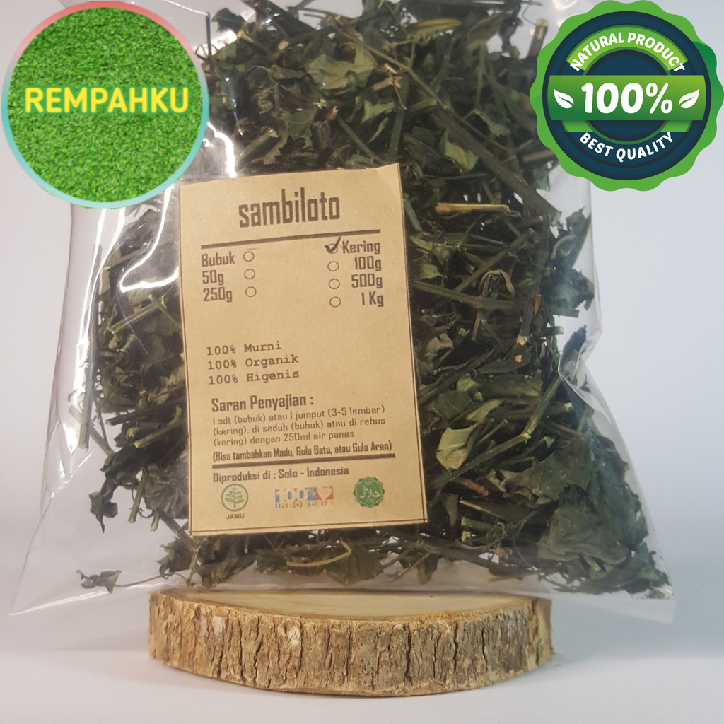 Sambiloto/dry SAMBIROTO 50 Grams - Andrographis Paniculata - | Shopee ...