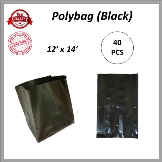 40 PCS Black Polybag Thick UV Fertigasi Polibeg Hitam (Nursery Growing ...