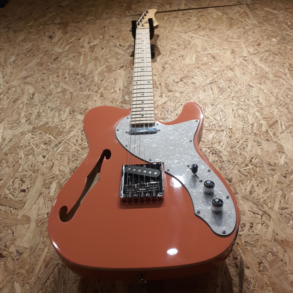 Sqoe Telecaster Thinline Electric Guitar # Wings Piano Bass Keyboard ...