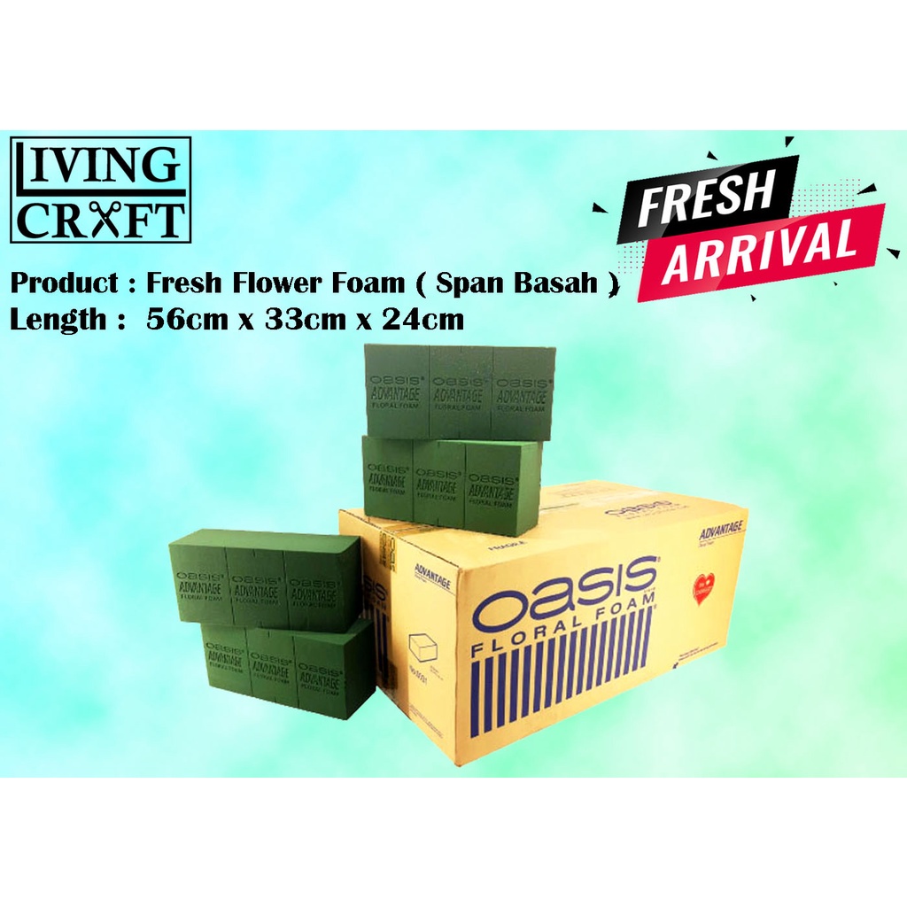 『Hot Product』Oasis Fresh Flower Foam / Span Basah Oasis ( 20 pcs per ...