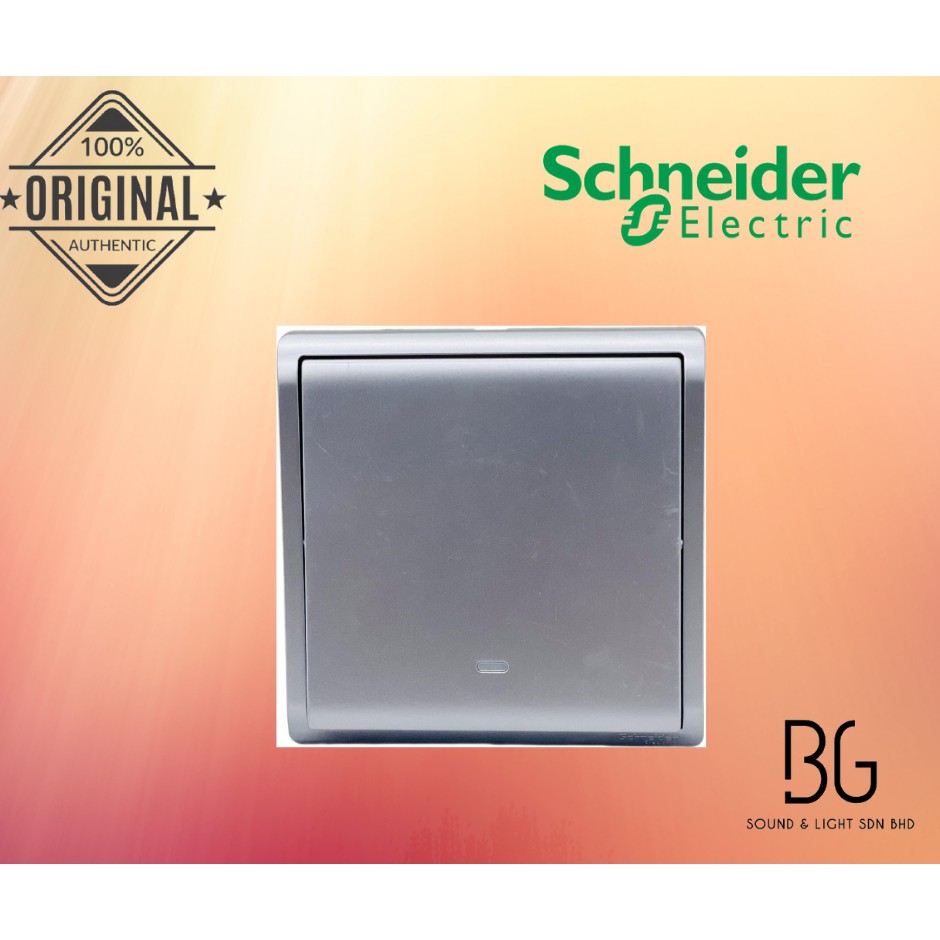 Schneider 1g1w 16AX 250V 1 Gang 1 Way Switch with Fluorescent Locator ...
