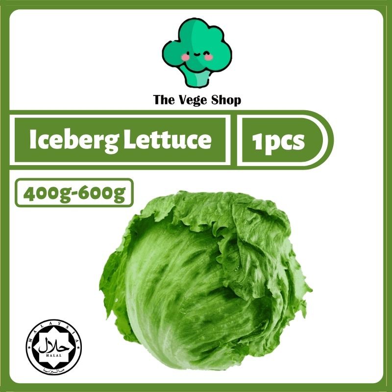 Iceberg Lettuce Sayur Salad 玻璃生菜 1pcs 400g-600g Fresh Vegetable from ...
