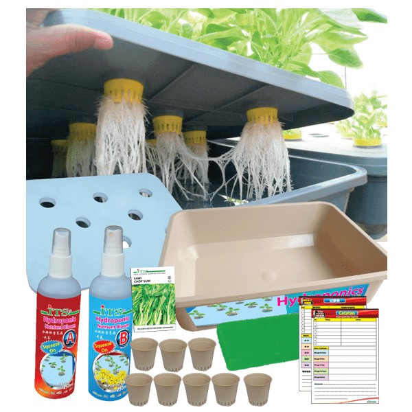 Hydroponics (1 Set)*** | Shopee Malaysia