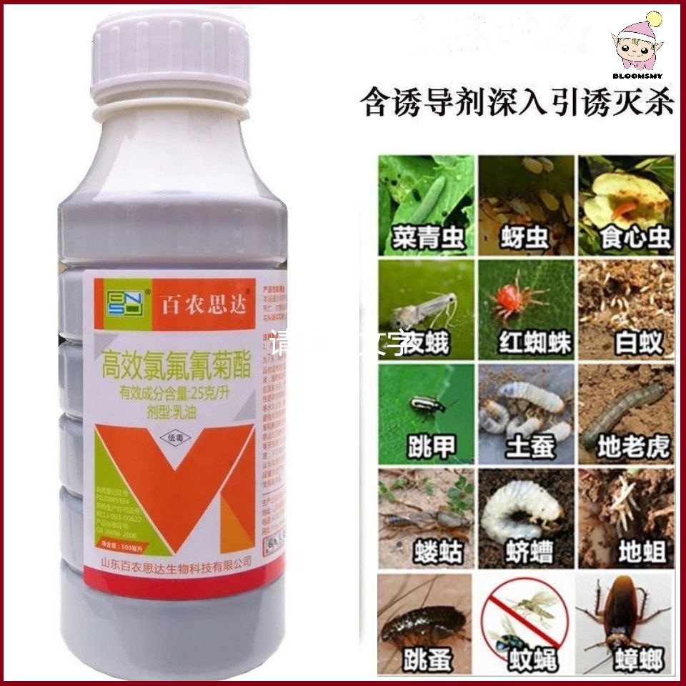 *BloomsMY* Pesticide Cyhalothrin Arphid/Cutworm/Caterpillar/Thrips ...