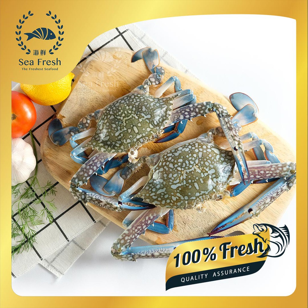 [Sea Fresh] Ketam Bunga | Flower Crab | Fresh Frozen Seafood | Shopee ...