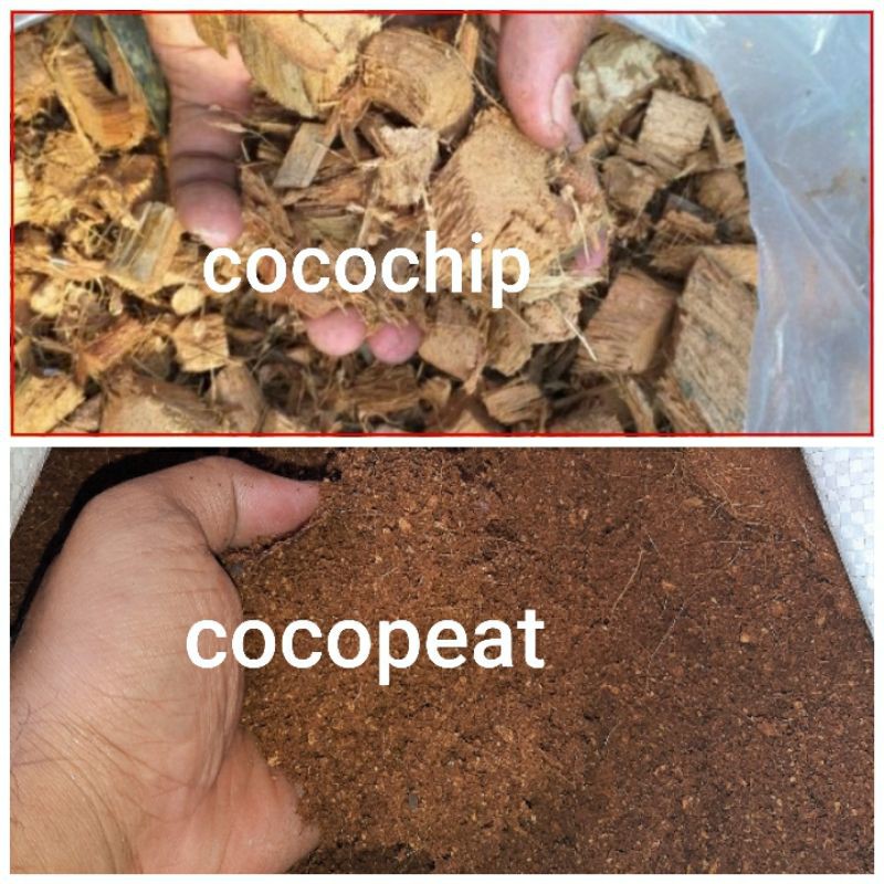 Sabut cicang, sabut debu (cocopeat and cocochip) | Shopee Malaysia
