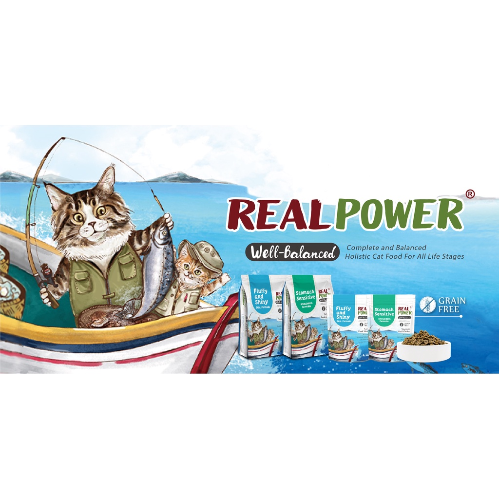 Real Power Well-Balance Cat Food - Grain Free Functional Dry Biscuit ...