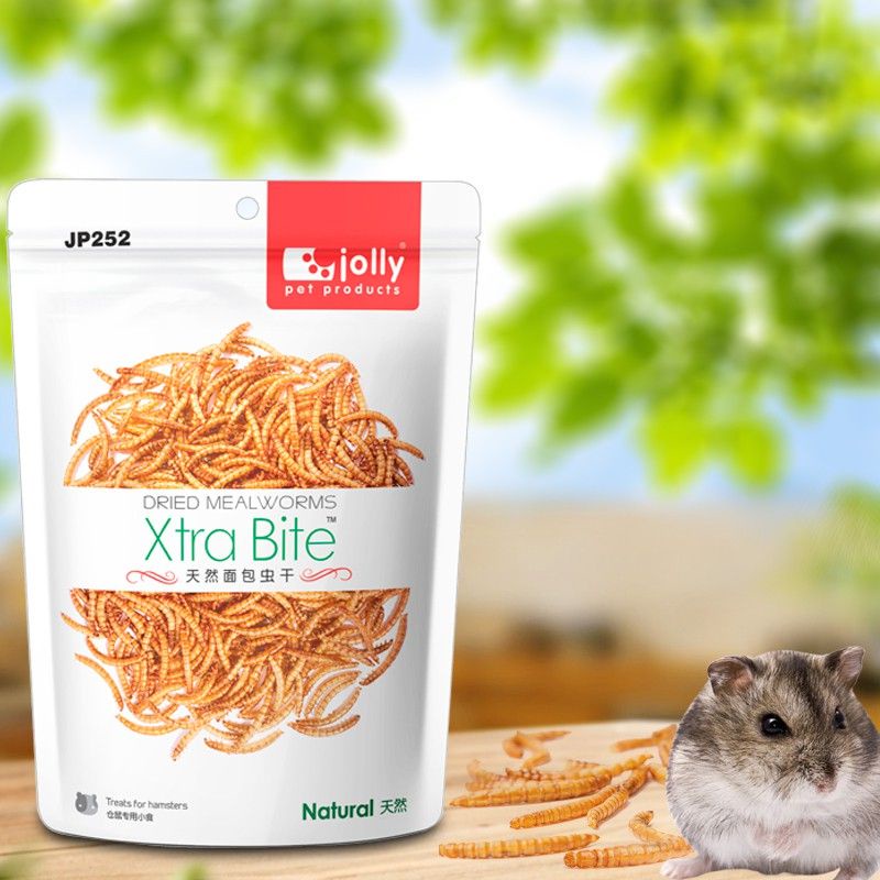 (CityPets) Jolly Xtra Bite Dried Meal Worms 30g Treats for Hamster ...