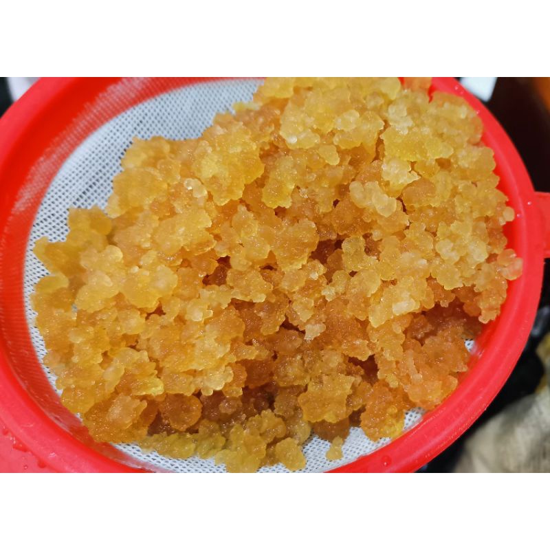 Active Water Kefir Grains 100g 活性水克菲尔粒 100克 | Shopee Malaysia