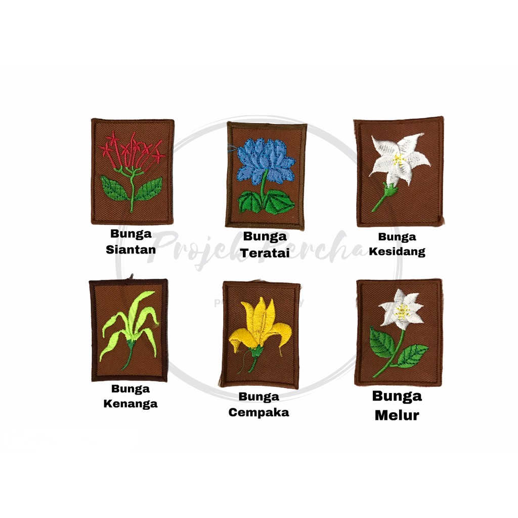 [PANDU PUTERI] Lencana Patch Pandu Puteri Persatuan Uniform Kokurikulum ...