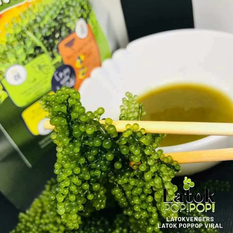 LATOK PADU BERSAMA SOS 🔥🔥 [READY STOCK] | Shopee Malaysia