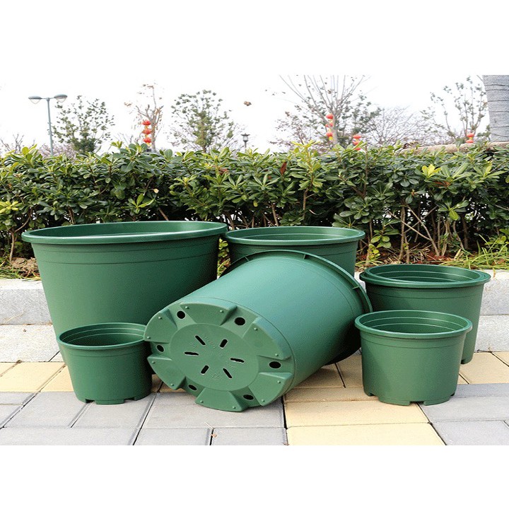 Nordic Green Root Plastic Flower Pot Rose Gallon Lotus Planting Basin ...