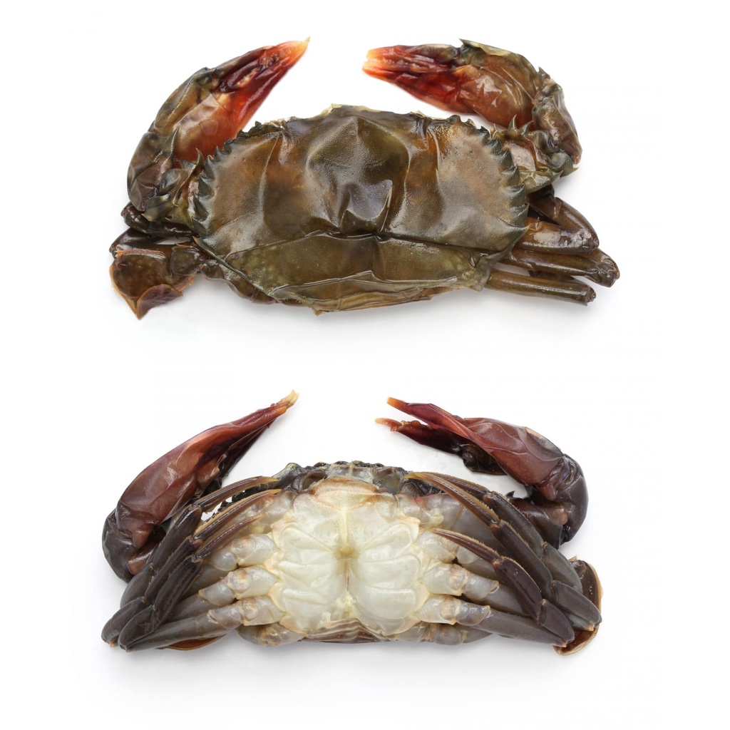 Frozen Ketam Soft Shell (500g/Pack) | Shopee Malaysia