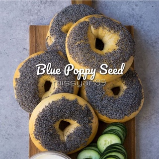 Organic Blue Poppy Seed / Biji Popi Biru 蓝罂粟种子 Biji Kas Kas Cake Deco ...