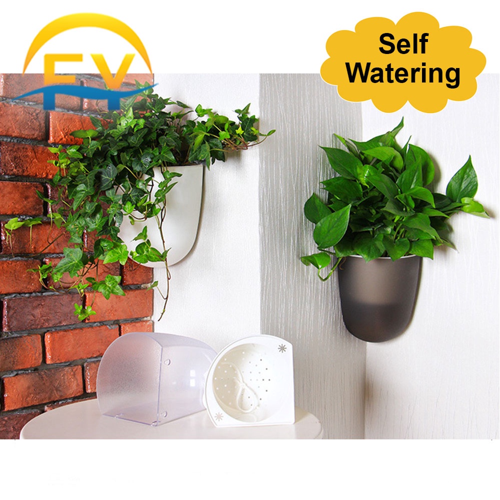 FY Self Watering Pot Flower Pot Pasu Bunga Wall Hanging Corner Décor ...