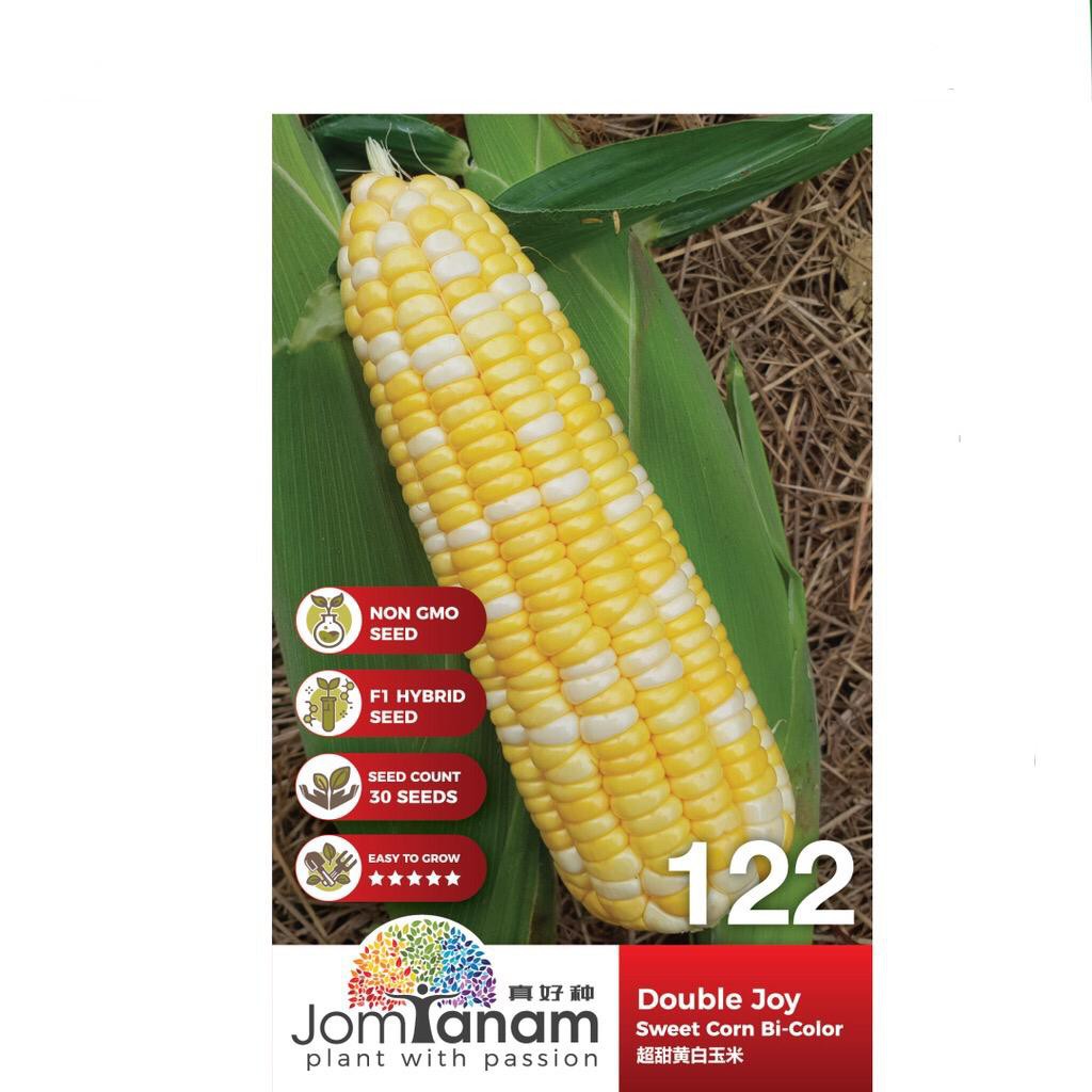 🔥🔥BIG SALES🔥🔥 Sweet Corn Bi-Color Double Joy (30sds) 超甜黄白玉米 Jom Tanam ...