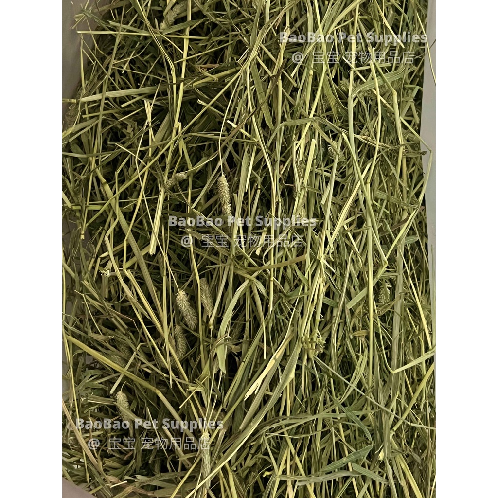 🔥 Premium 🔥 SOFT Timothy Hay (Imported from Canada 🇨🇦 ) - [Ready Stock ...
