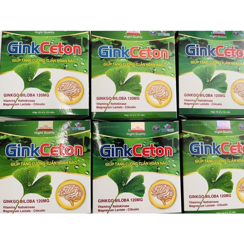 Ginkceton - Helps To Increase Cerebral Circulation - Ginko Biloba 120mg ...