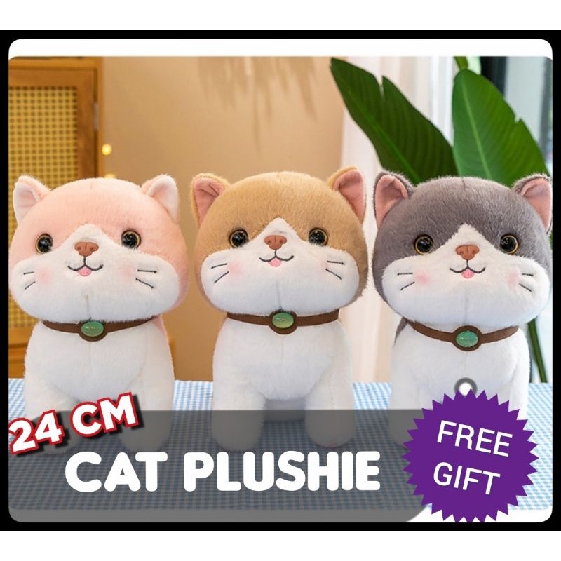 🔥 Cat Plushie Toy Soft Stuffed Toys Cat Doll Soft Plush Toys for Kid ...