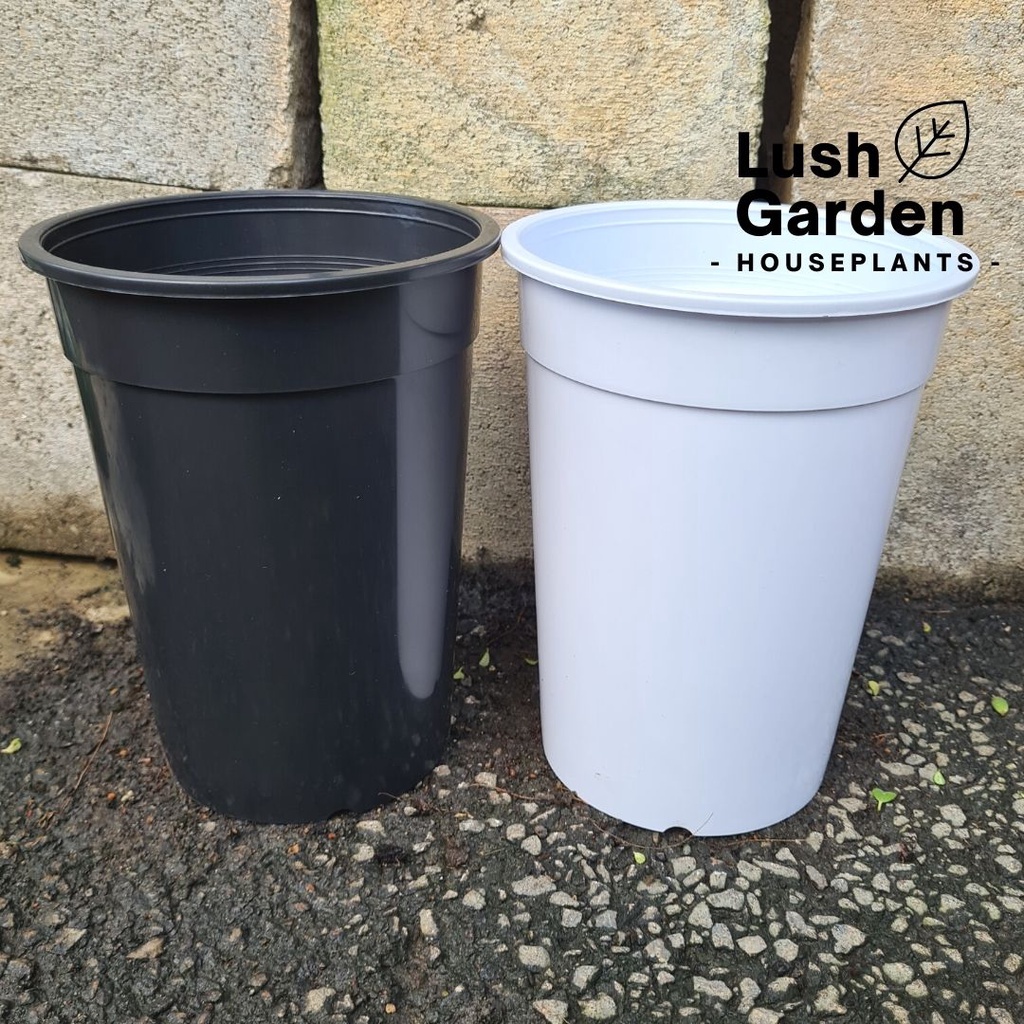 Baba BI-155-H Plastic Flower Pot 150mm / Pasu Bunga 花盆 pot [Lush Garden ...