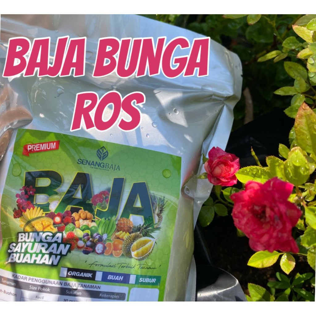 Baja SB Bunga Ros Untuk 300 Pokok Pack Premium Jimat 1000gram+free ...