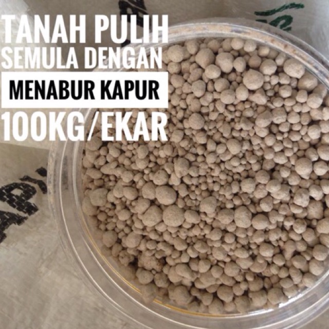 🔥🌱1KG KAPUR PERTANIAN/ DOLOMET 🌱🌱🔥 | Shopee Malaysia