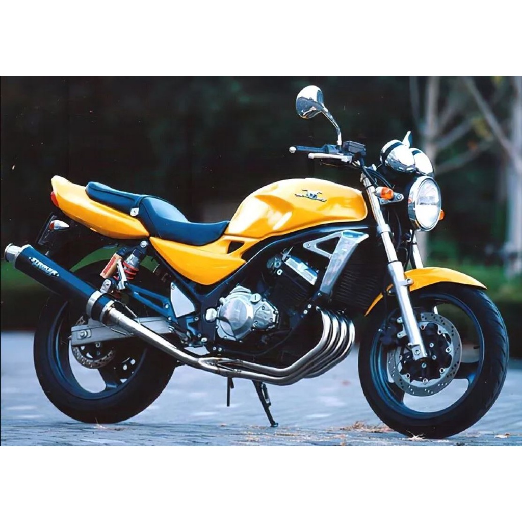 Kawasaki ZR250 BALIUS Motorcycle Oil Filter VESRAH Made In Japan ...