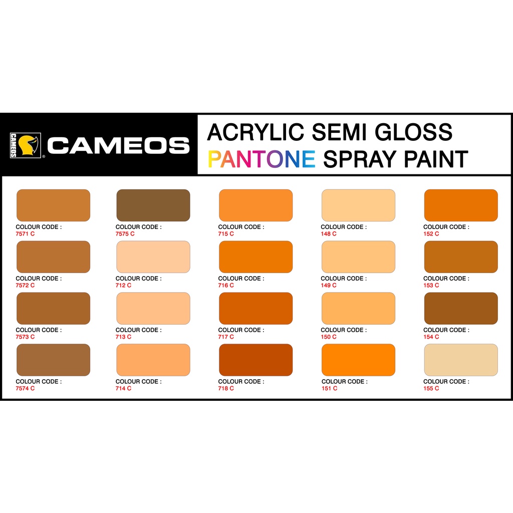 PANTONE Color P6 - Aerosol Spray Paint - CAMEOS 400ML/Bottle | Shopee ...