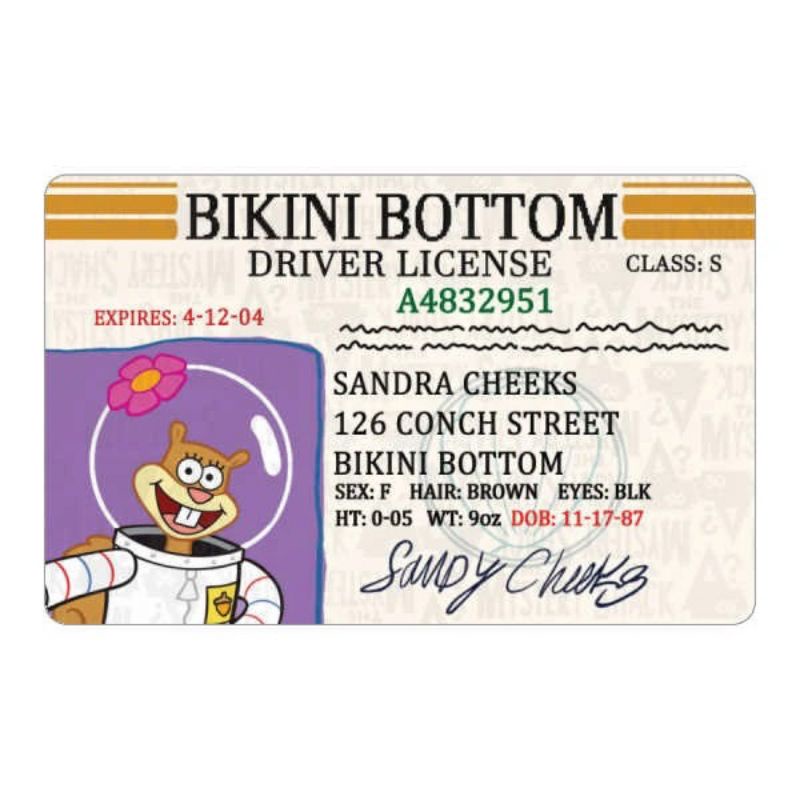 BUY 1 FREE 1 SYNDEY/SANDRA Sticker Premium yang sesuai dengan semua ...