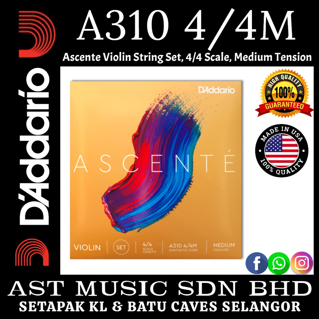 D’Addario A310 4/4M Ascente Violin String Set, 4/4 Scale, Medium Tension ( A-310 ) | Shopee Malaysia