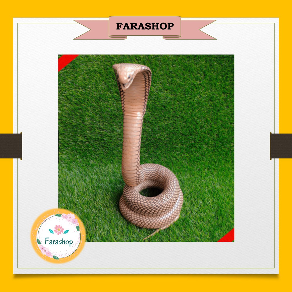 Original COBRA Snake Tax | Shopee Malaysia